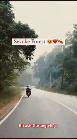 sevoke road Siliguri forest view wow 😮🥰🤗🍂🏞️ - YouTube