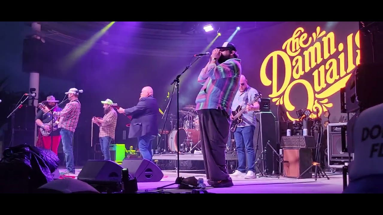 Rattlesnakes Through the Cotton - The Damn Quails - Mile0Fest 2023 ...