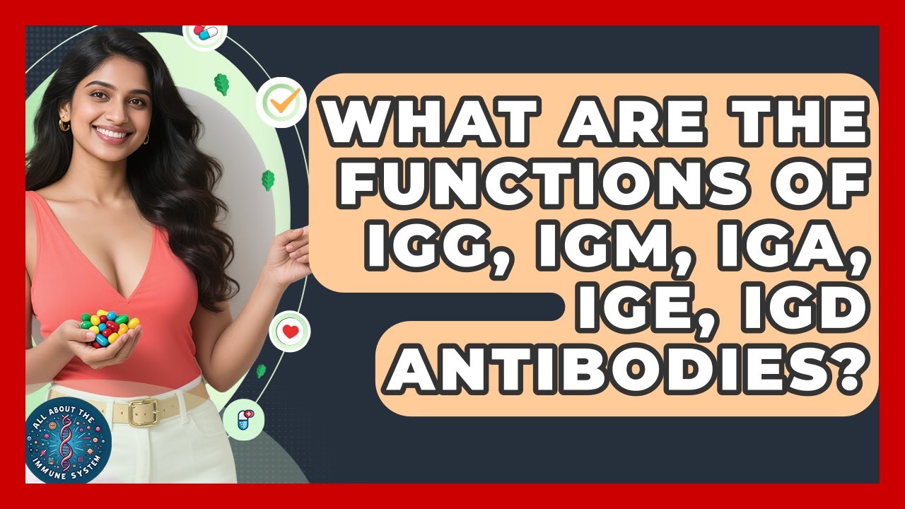 What Are The Functions Of IgG, IgM, IgA, IgE, IgD Antibodies? - All ...