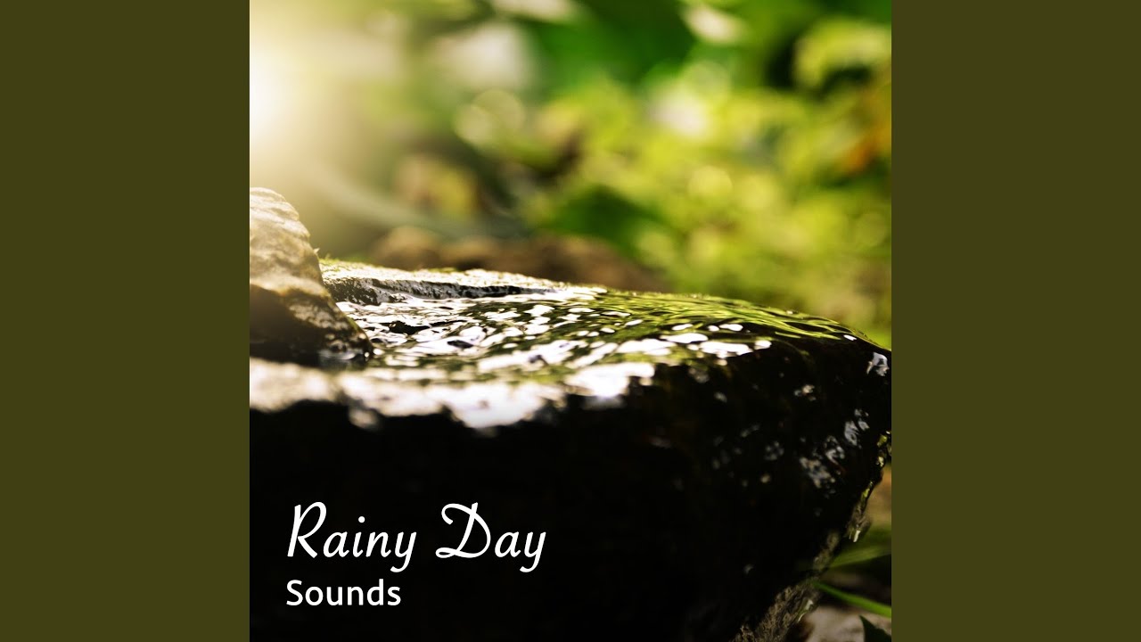 Rain to fall asleep (Loopable,No fade) - YouTube