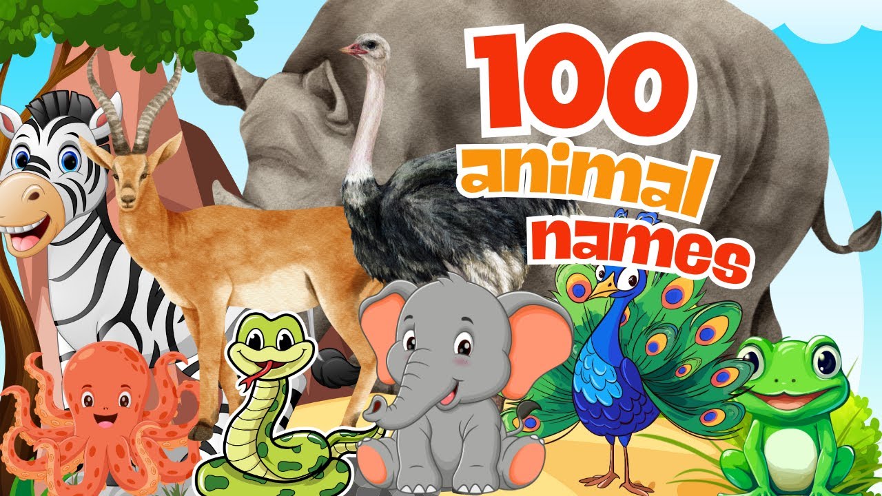 Animals | Learn the Names of 100 Animals! | Animal Vocabulary for Kids ...