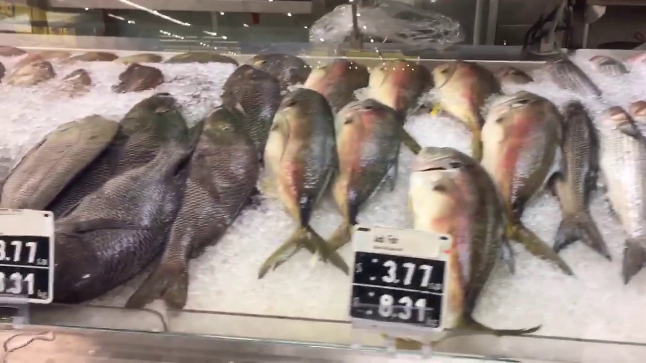 fish department at No Frills, Brampton, Ontario - YouTube