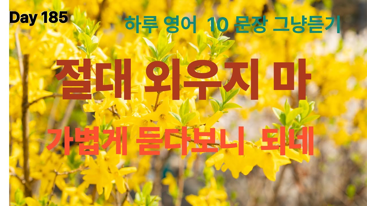 하루10문장완성 Day185 영어회화 문장을 알아야 영어가 들리기 시작한다 영어 10 문장이 내 것이 될 때까지 계속
