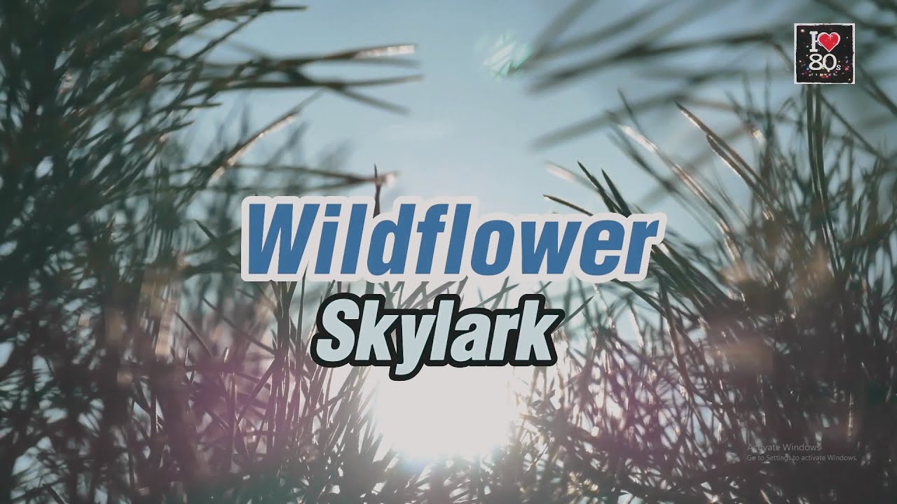 Skylark - Wildflower [Karaoke Classics HD] - YouTube