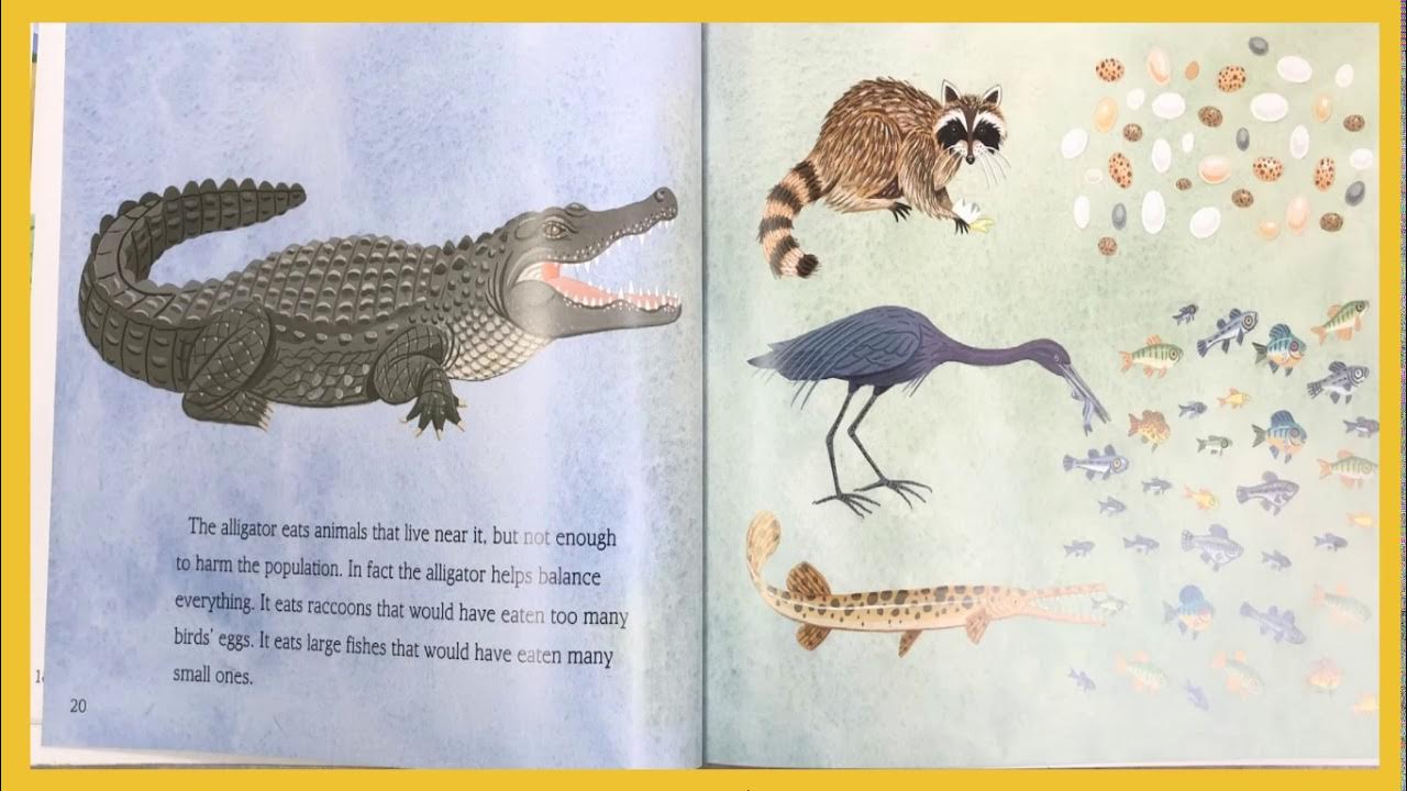 Who Lives in an Alligator Hole? - YouTube