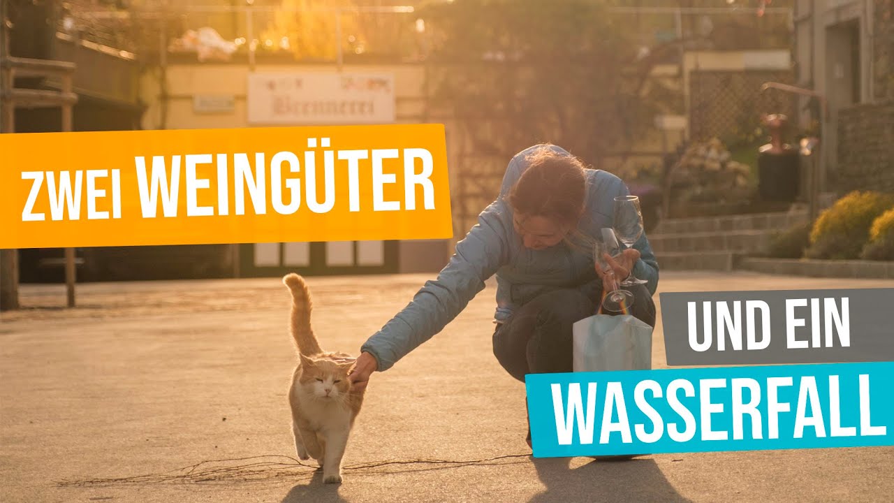 WOHNMOBIL-STELLPLATZ in der Weststeiermark | Weingüter | Sulm ...