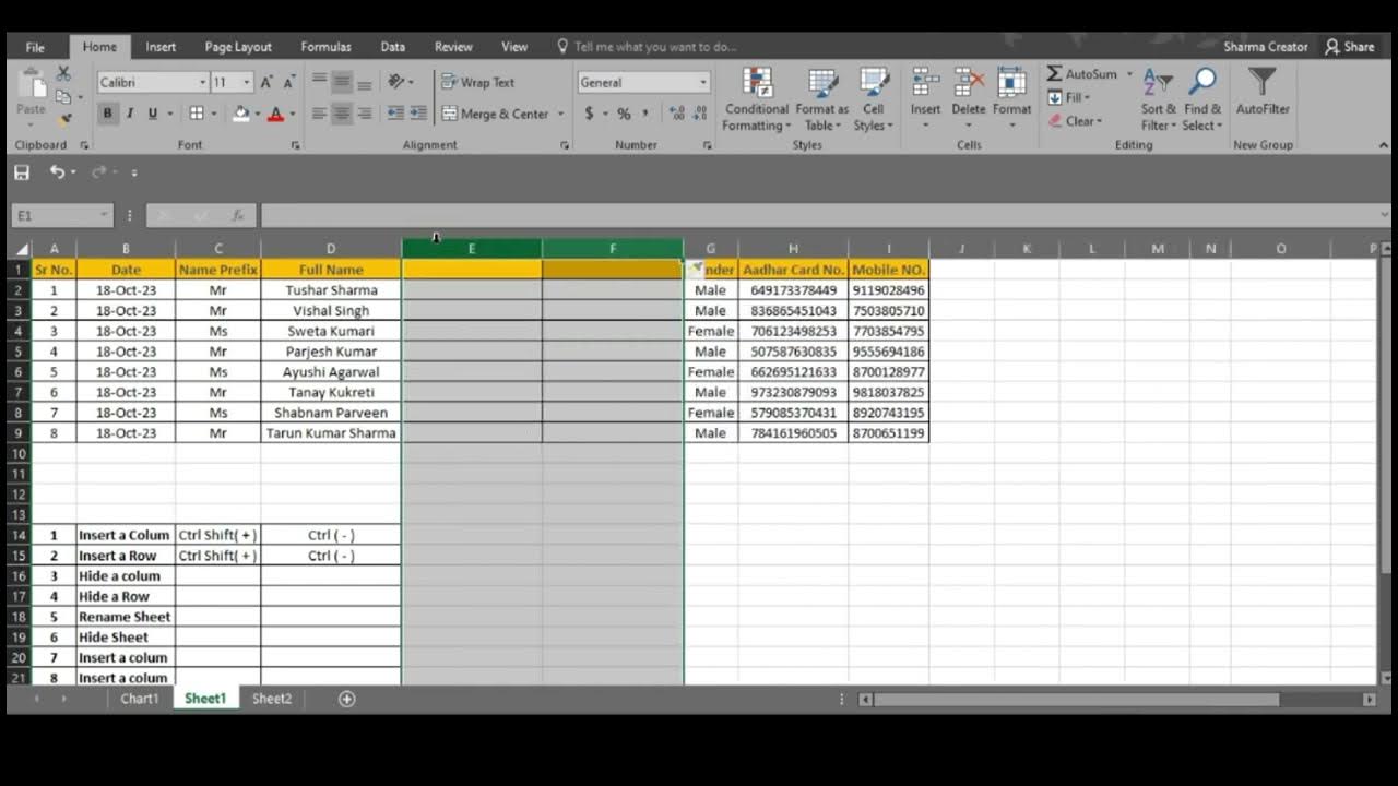 How To Insert & Delete Rows, Columns, Cells & Sheets In MS Excel In Hindi - YouTube