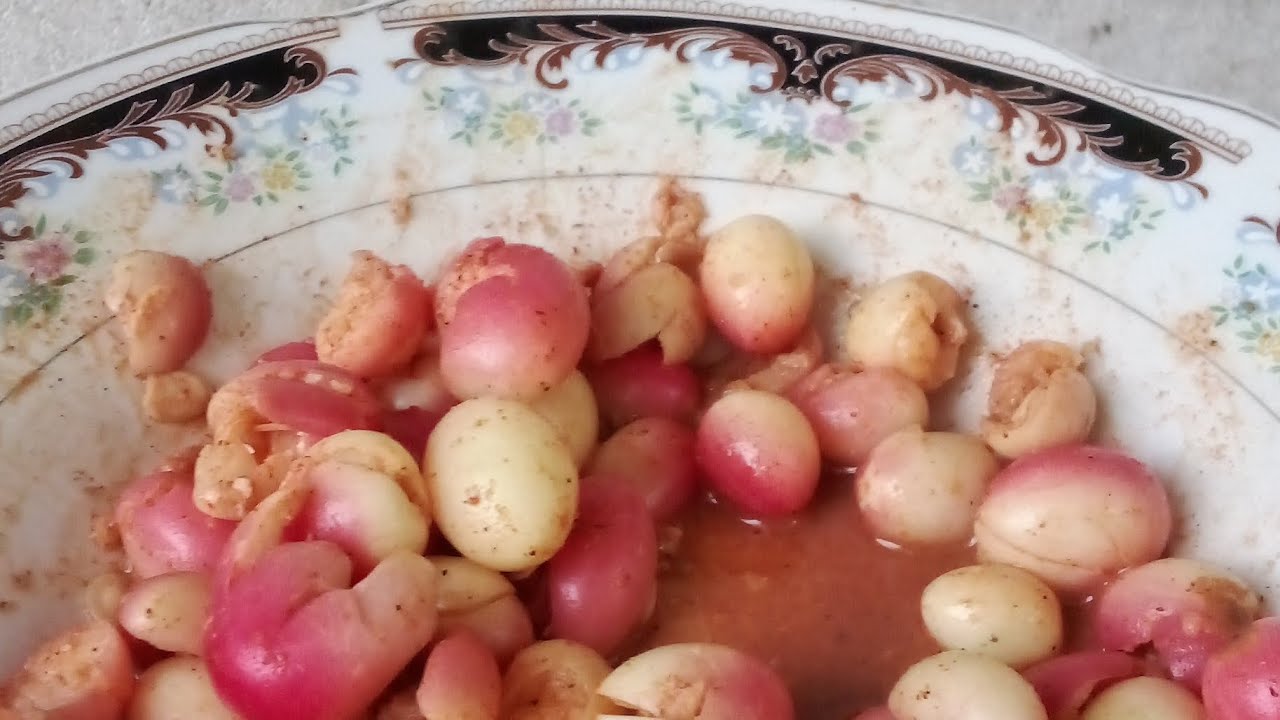 කරඹ තලලා කෑවා😁 ️Karaba #trending #srilanka #viral - YouTube