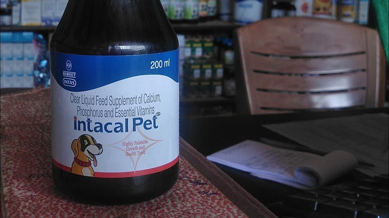 Intacal Pet - Clear Liquid Feed Supplement of Calcium, Phosphorus ...