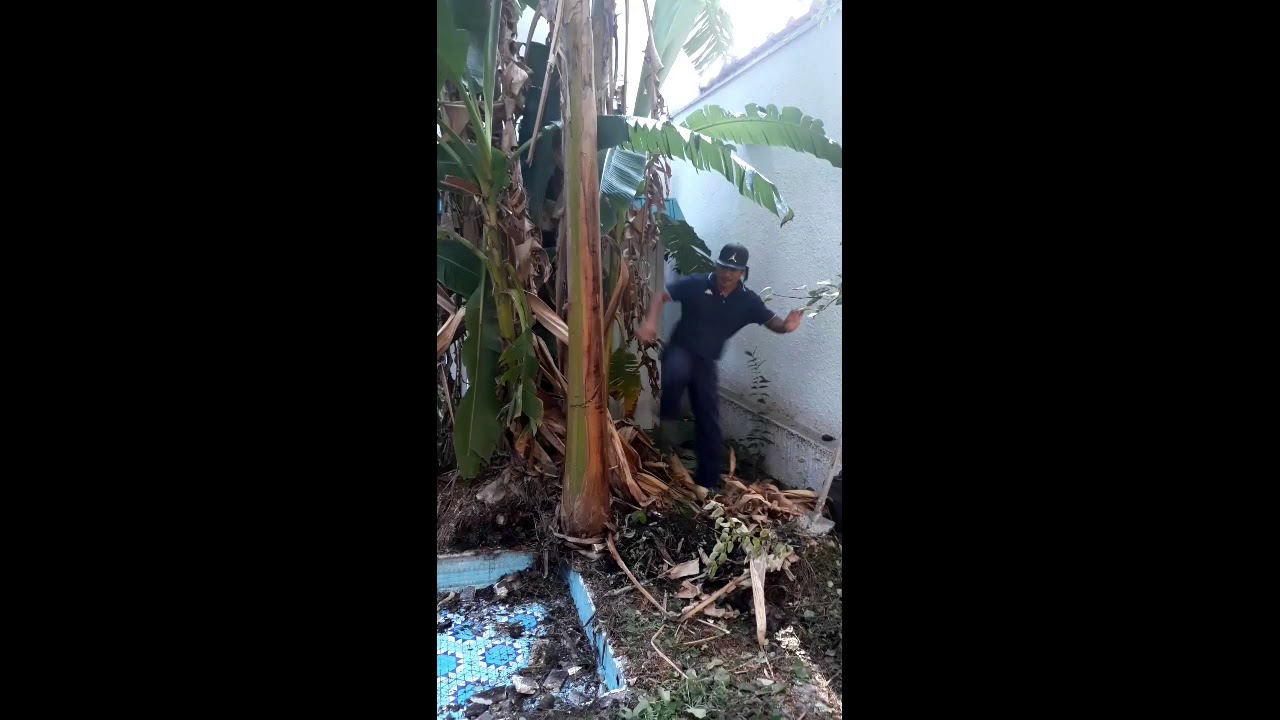 Tadyakan - YouTube