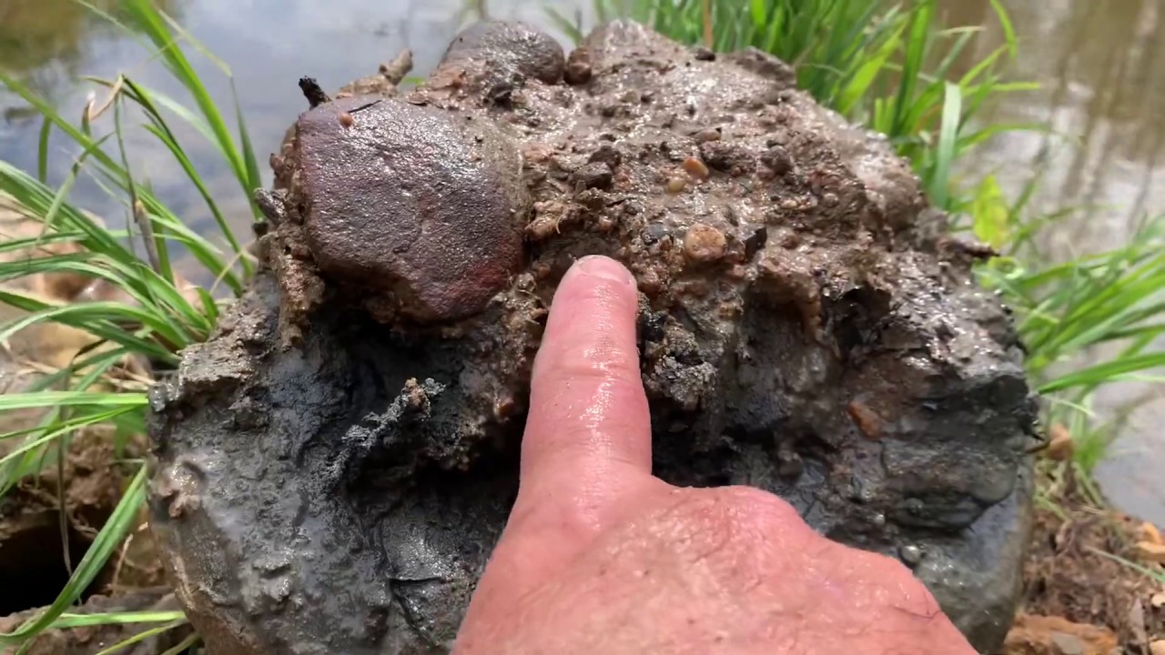 Digging Rich GOLD DEPOSITS!! #grassrootsmining - YouTube