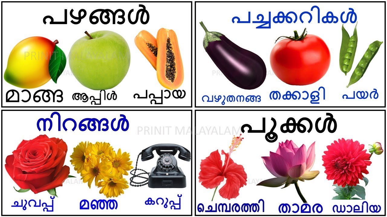 Fruits Name In Malayalam With Pictures fruits-name-in-malayalam-with-pictures