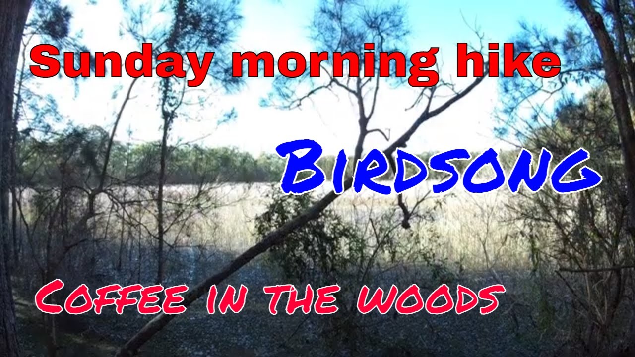 A Sunday morning hike at a local nature reserve - YouTube