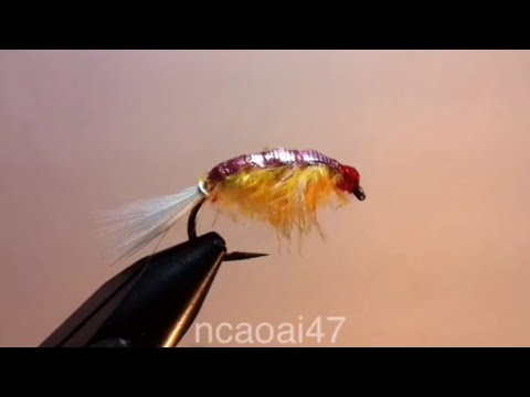 Fly Tying a Scud Fly Fishing (27)DIY Fishing - Cách Buộc Con Mồi Fly Chìm - YouTube