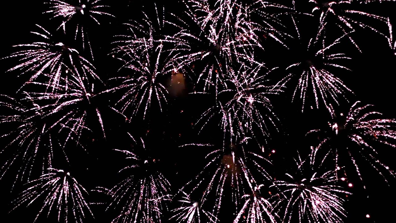 L64036 - 6 INCH SHELL OF SHELLS BROCADE CROWN W GOLD GLITTER PISTIL ...