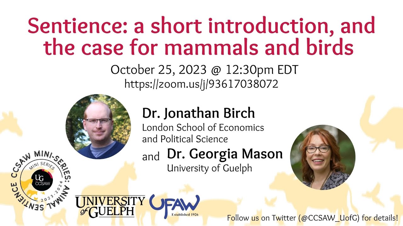 Sentience: a short introduction + the case for mammals & birds | Drs ...