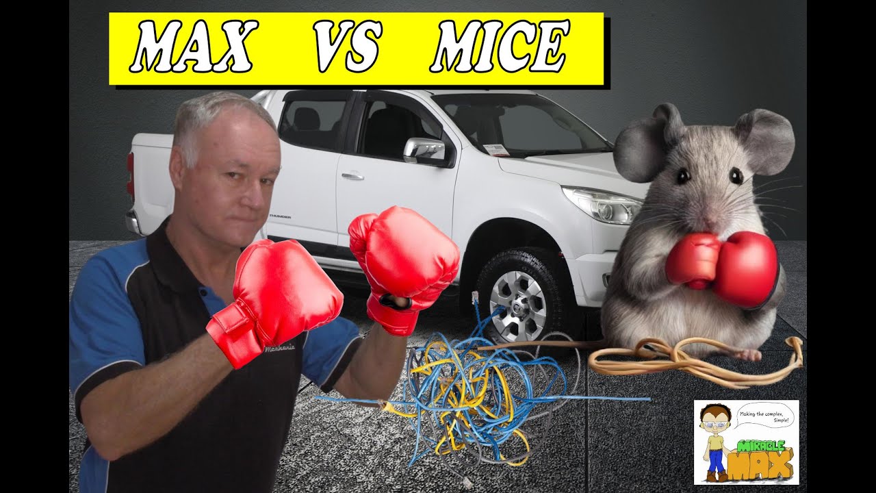 MAX vs Mice - No Go Colorado - YouTube