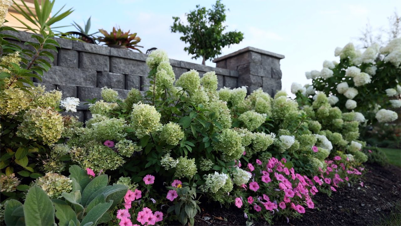 August HYDRANGEA GARDEN TOUR | 2021 - YouTube