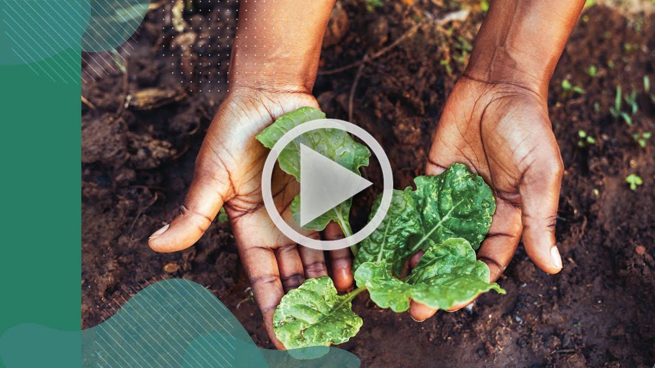 A sustainable future rooted in healthy soil - YouTube