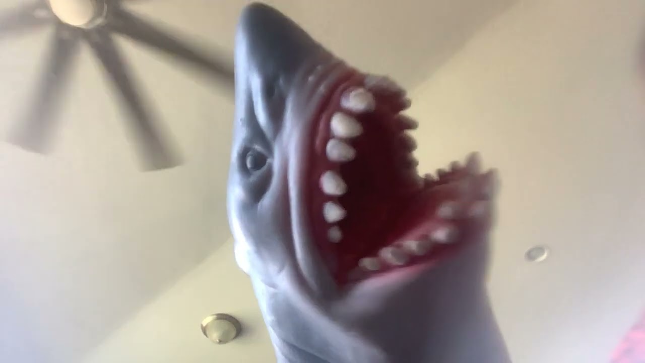 shark puppet asmr face - YouTube