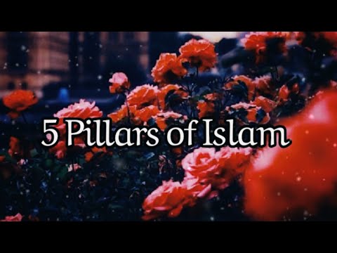 5 Pillars of Islam || Sad Whatsapp Status || Whatsapp Status