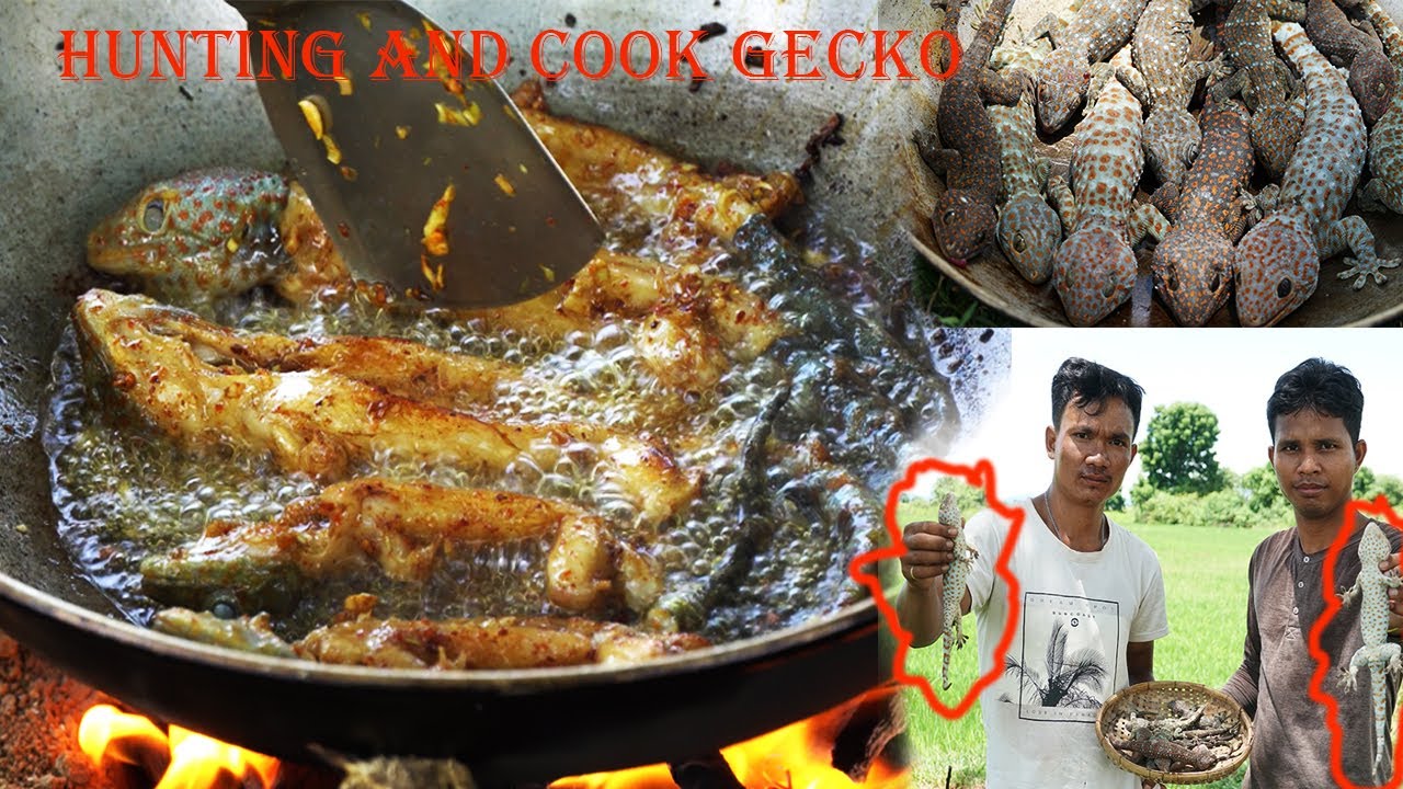STIRRED FRIED TOKAY GECKO | preparing tokay gecko for food - YouTube