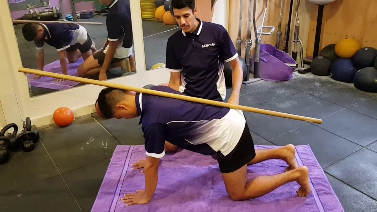 FP Plank Series | Quad Pad - YouTube