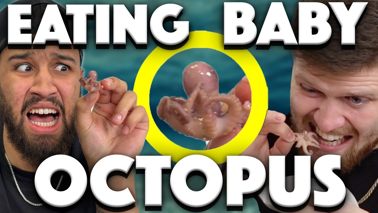 EATING OCTOPUS CHALLENGE! -You Should Know Podcast- Episode 96 - YouTube