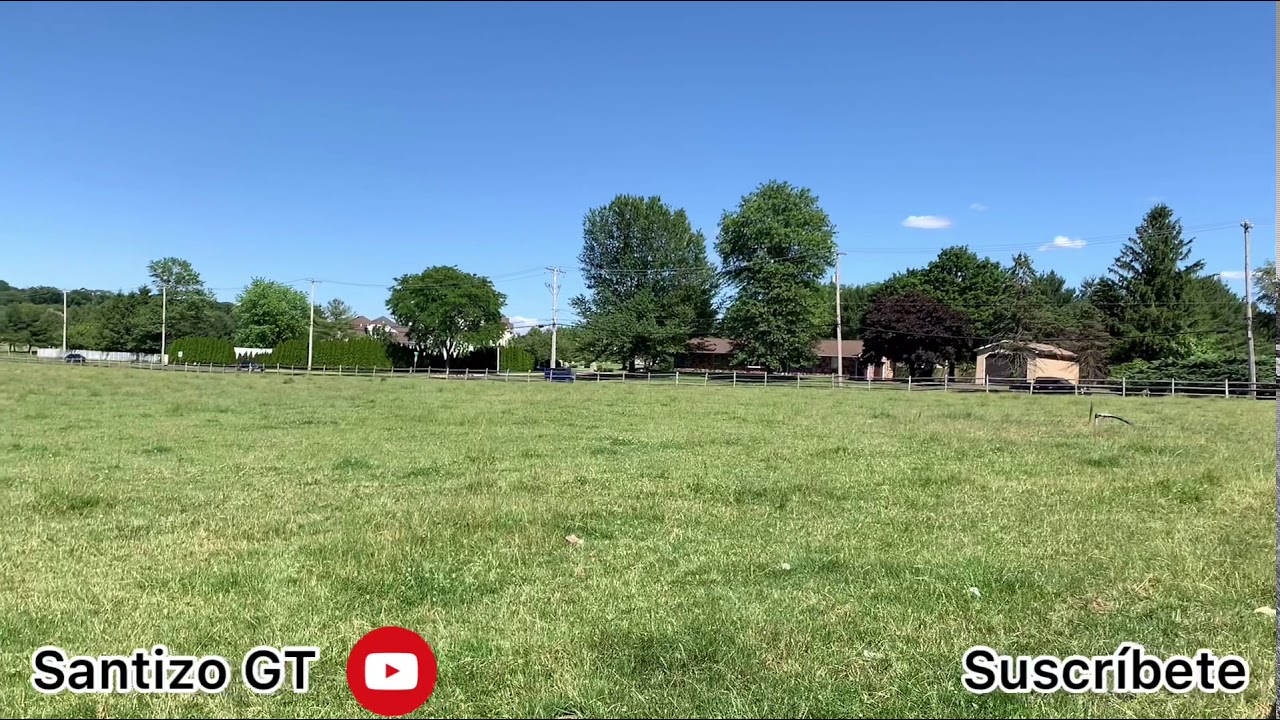 Tanner Brothers Dairy viendo el ganado - YouTube