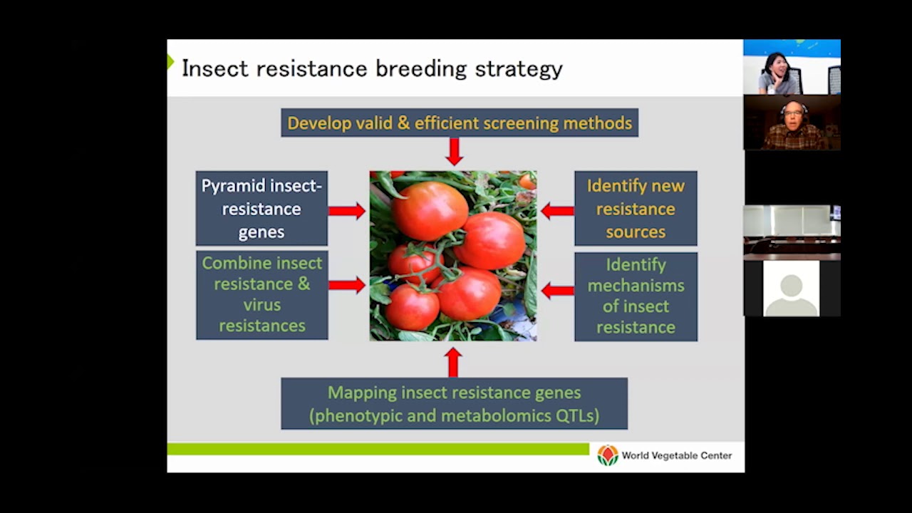 Update on Tomato Breeding and Progress on Insect Resistance: Dr. Peter ...