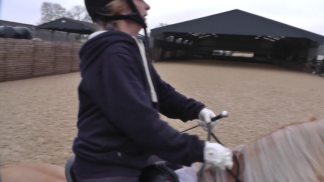 Susan Mattick Mosscarr Stratford E- Rider BD Class 2 Novice 39 - YouTube