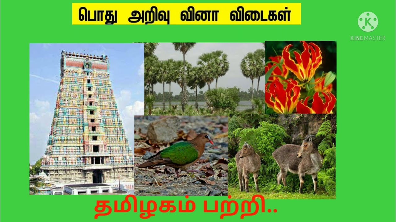 GK Questions and Answers About Tamilnadu State Symbols in Tamil # ...