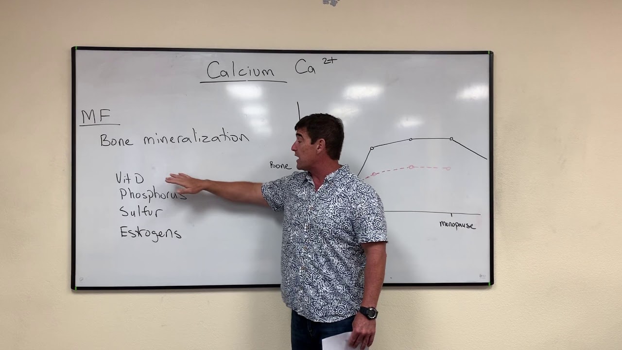 Vid #11 Calcium - YouTube