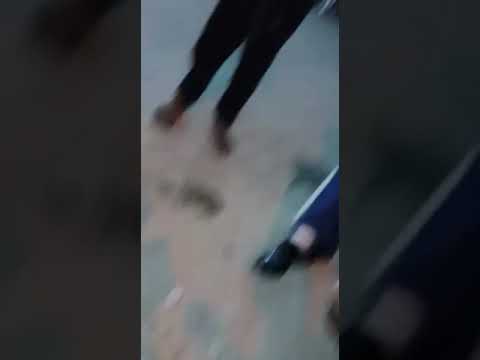 Arapça müzik mustafa