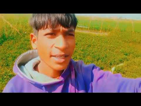 Aaj Ham Ja Rahe Hain Pani Khet Mein Pani chalane ke liye# video# viral#🥰🌾🌾 - YouTube
