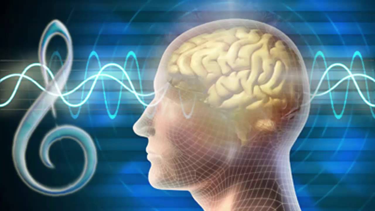 Relaxing Studying Music - 3 Hour Focus Music Study Music, Alpha Waves ...