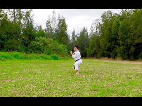 SUPARINPEI KATA GOJU RYU KARATE by Sensei Davy Wijaya - YouTube