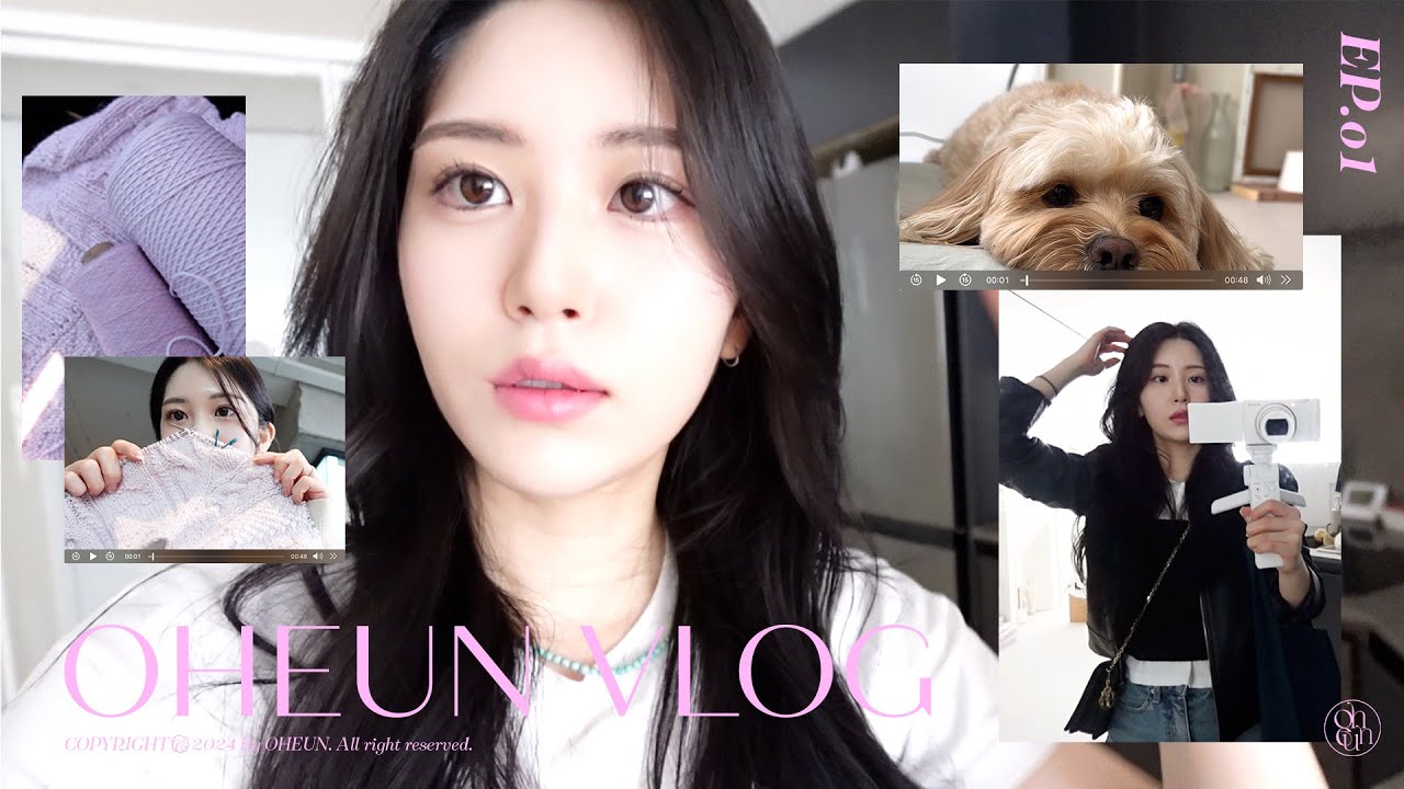 Vlog 오은 브이로그 일상 브이로그 일주일 브이로그 아갓시 모임 강아지 뜨개 바늘이야기 파주점