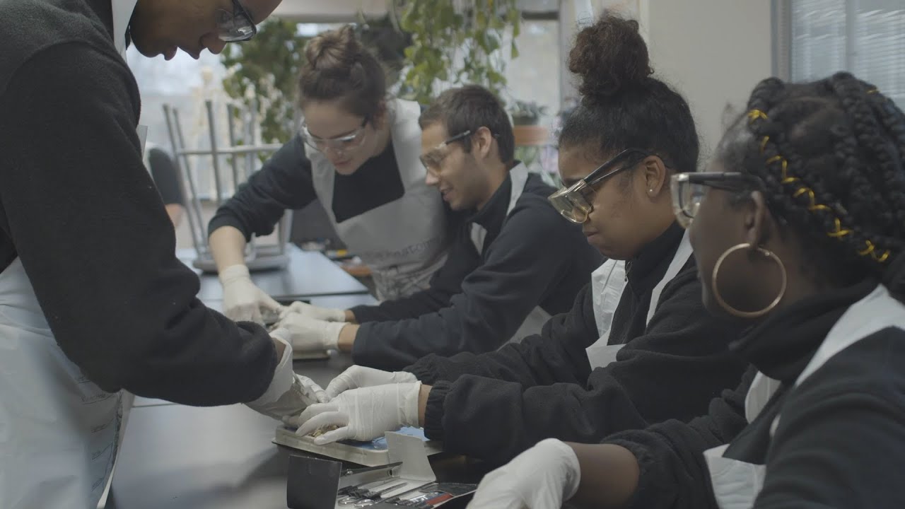 Classical Magnet School - YouTube