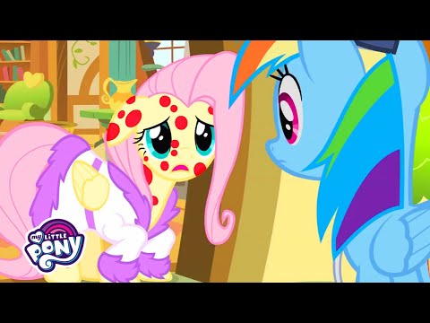 My Little Pony in Hindi 🦄 Hurricane Fluttershy | Friendship is Magic | Full Episode