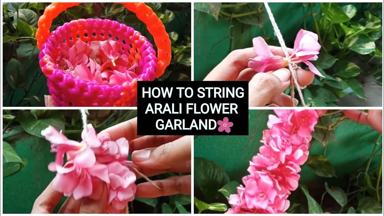 அரலி பூவில் மாலை கட்டுவது எப்படி|HOW TO STRING ARALI POO GARLAND FOR ...