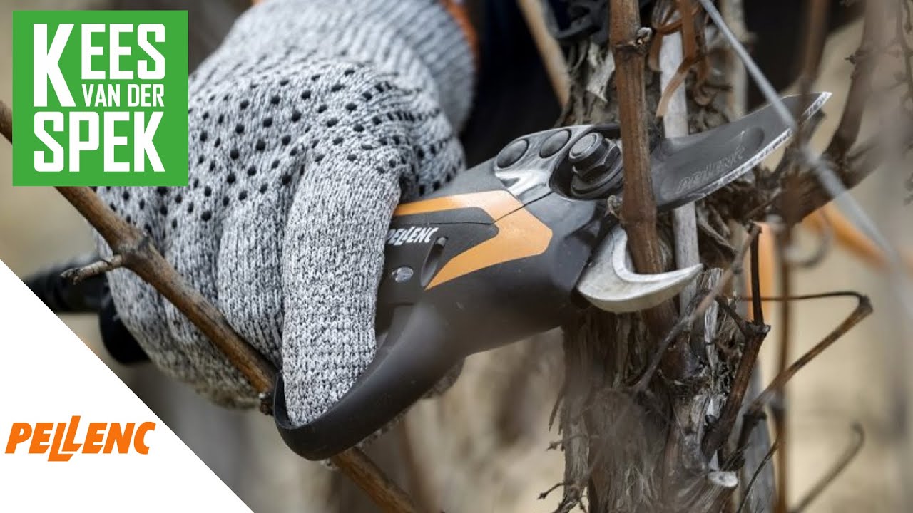 Pellenc C35-C45 Accu-Snoeischaren - YouTube