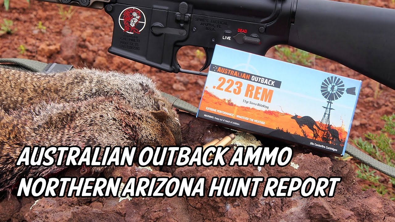 Australian Outback Ammo Northern Arizona Hunt Report - YouTube
