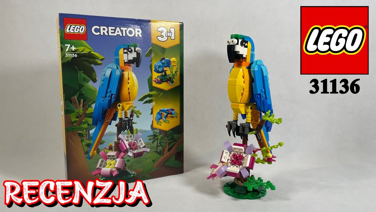 LEGO® 31136 Egzotyczna papuga RECENZJA - YouTube