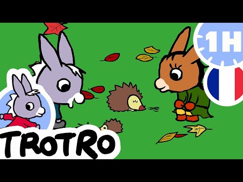 TROTRO | COMPILATION | 🦔 Trotro joue avec des petits animaux mignons ! 🐠