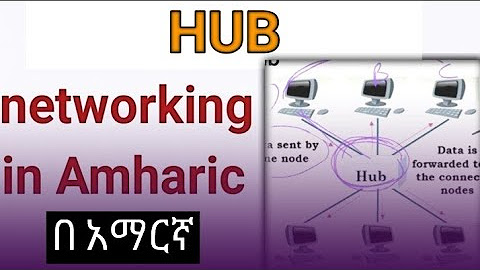 Computer network | networking in Amharic - YouTube