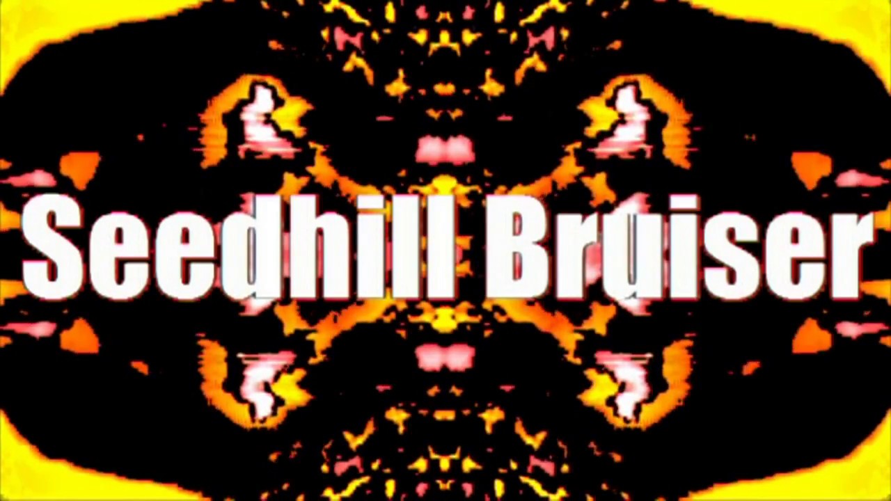 Callum Carver by Seedhill Bruiser - YouTube