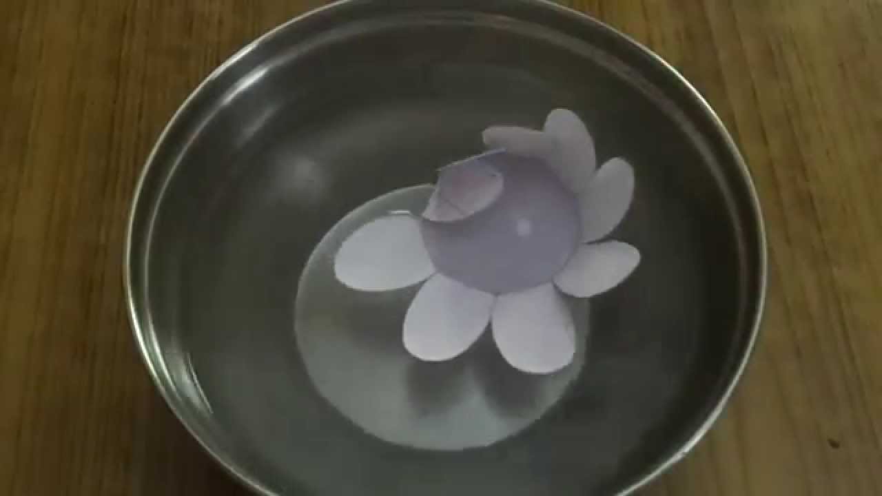 How to Make A Magic Blooming Paper Flower - YouTube