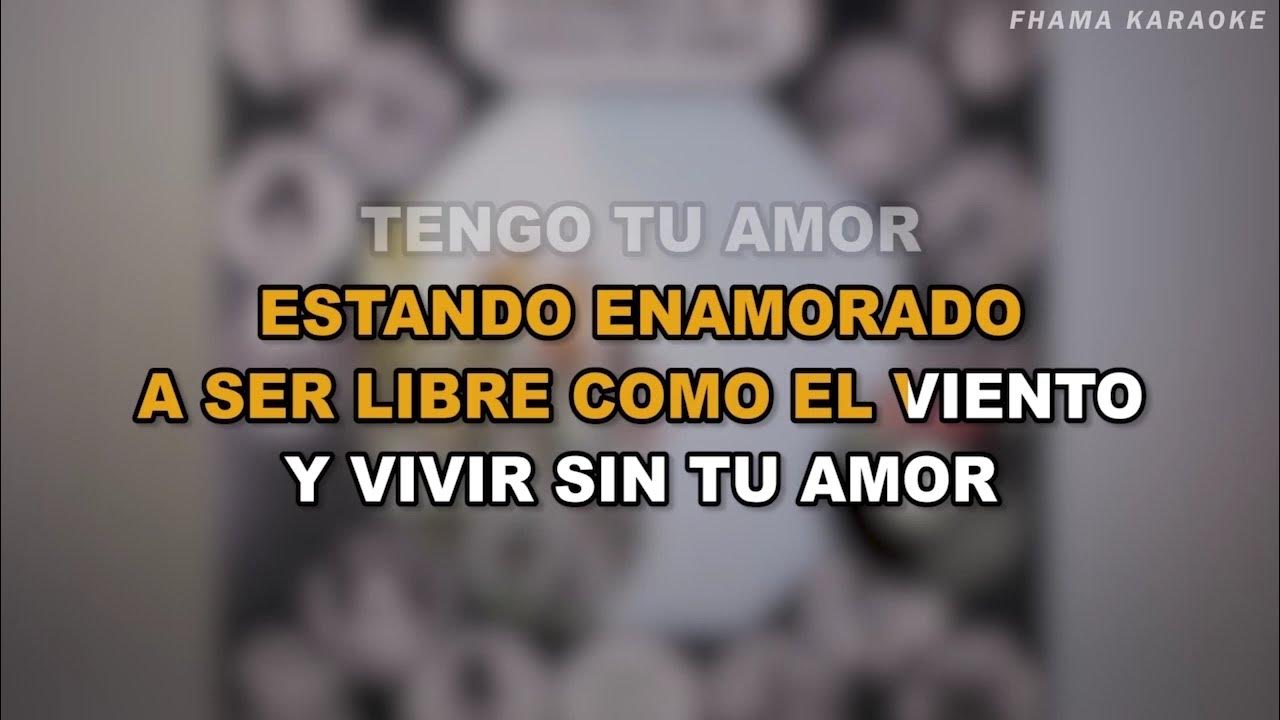 Formula V - Tengo Tu Amor | KARAOKE DEMO - YouTube