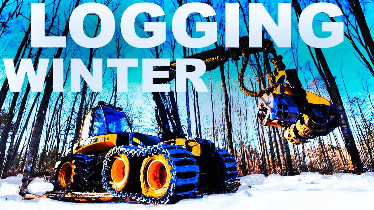 LOGGING HARDWOODS in MICHIGAN U.P. WINTER 2025 with a PONSSE ERGO ...